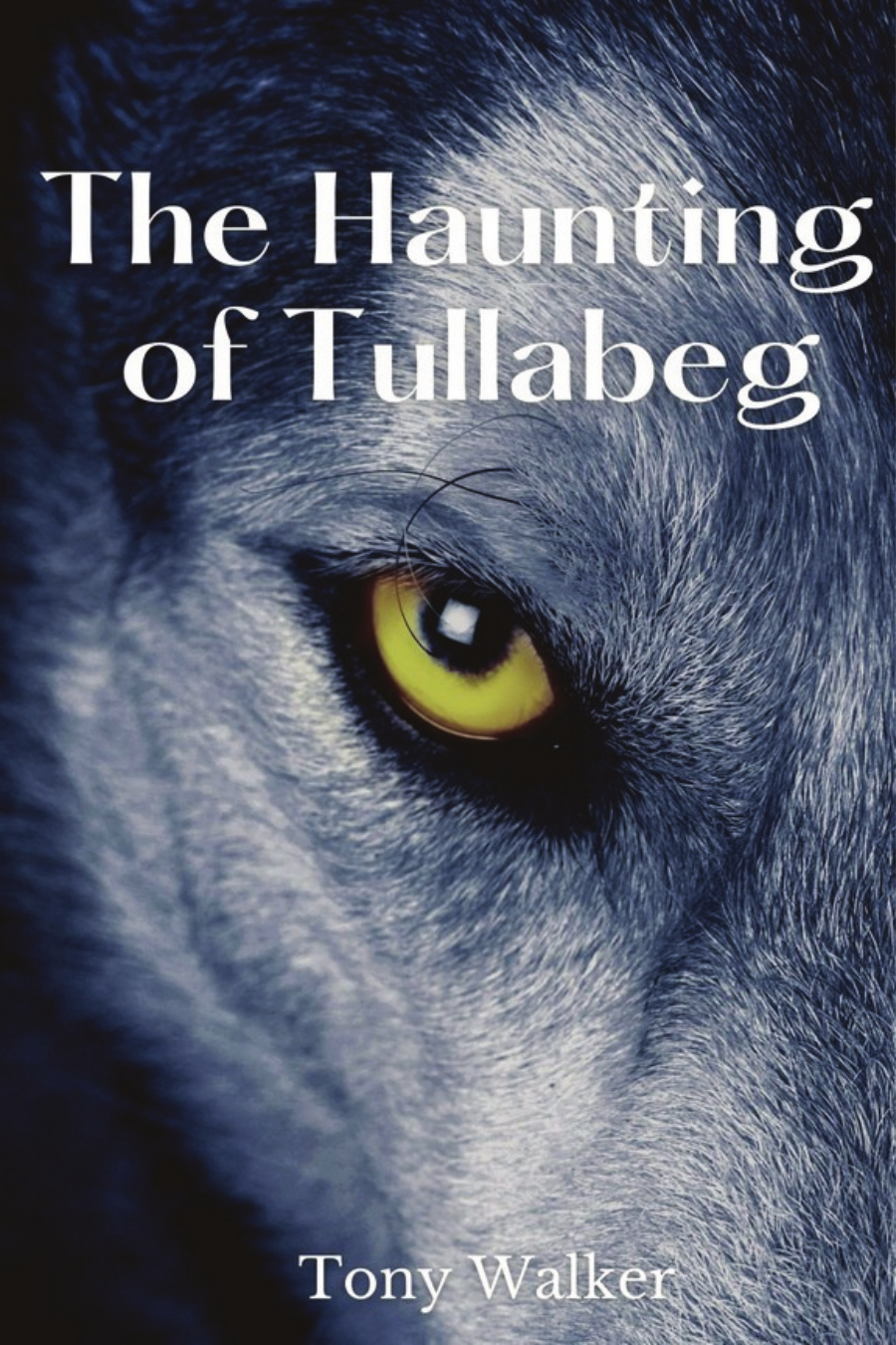 Tony Walker Books on Books.by